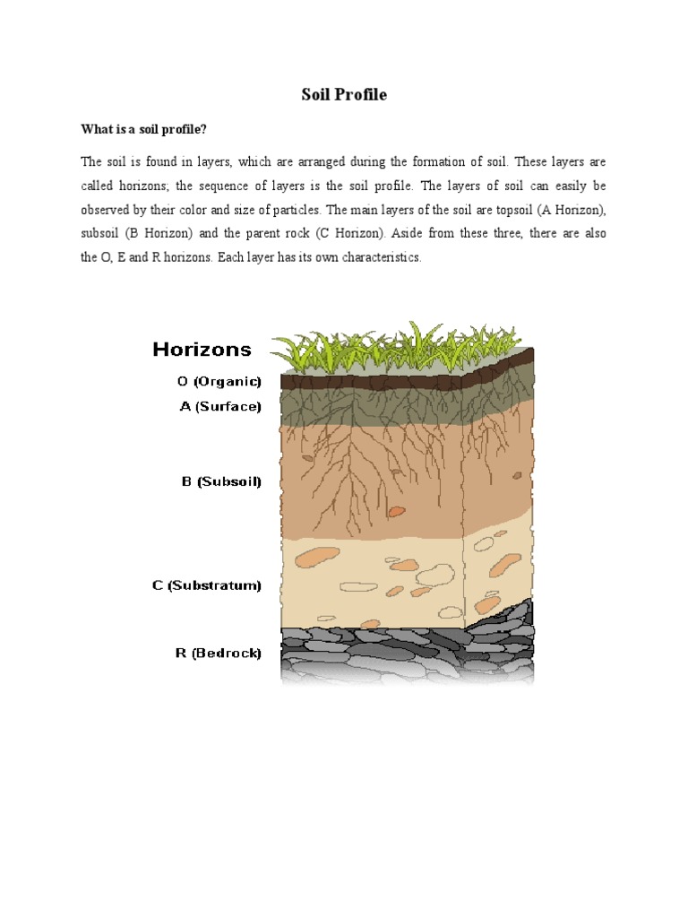 Soil Profile-Lecture 2 | PDF | Soil | Organic Matter