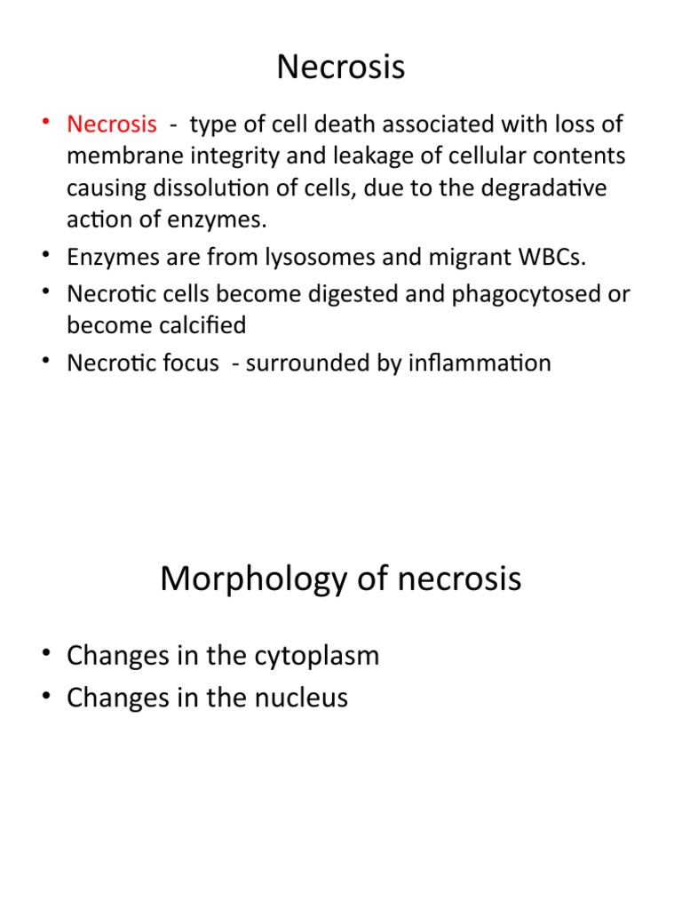 Necrosis | PDF | Necrosis | Physiology