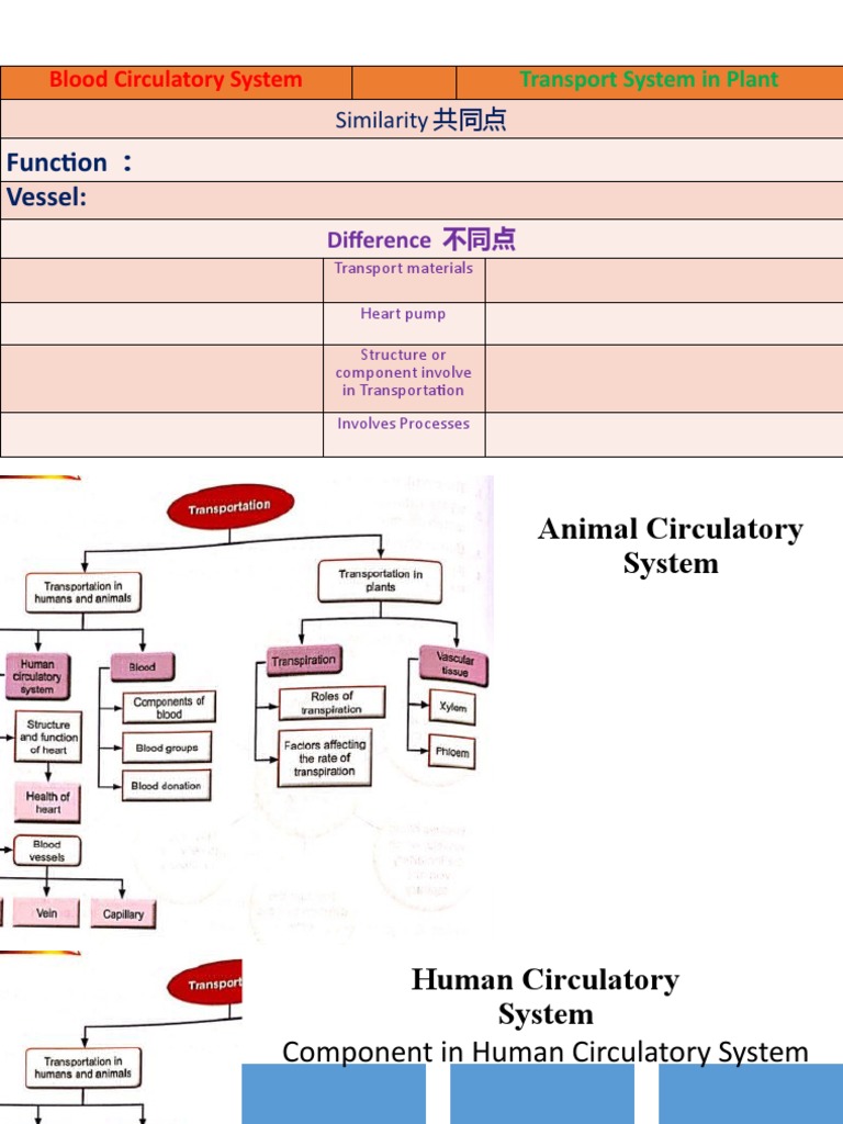 Chapter 3 Conclusion | PDF