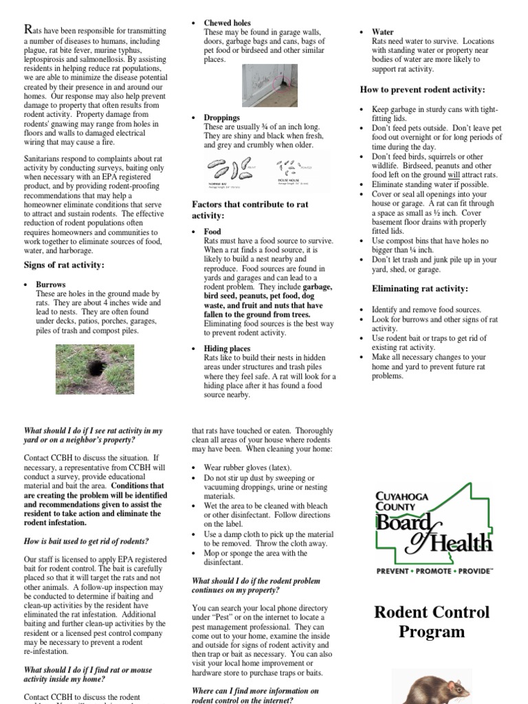 Rodent Control Pamphlet 2-26-10 | Download Free PDF | Rodent | Rat