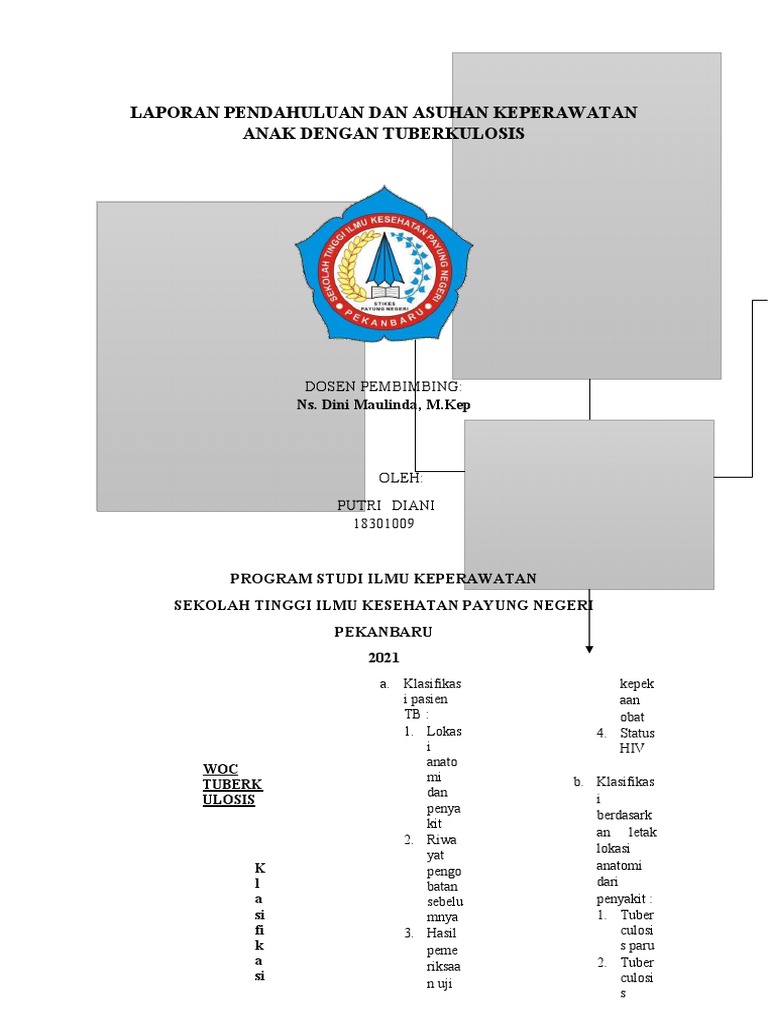 LP DAN LK TB Paru Diani | PDF