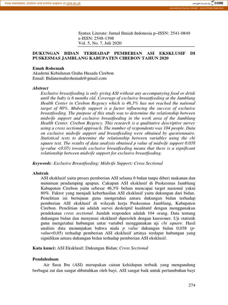 Dukungan Bidan Terhadap Pemberian Asi Eksklusif Di Puskesmas Jamblang Kabupaten Cirebon Tahun ...