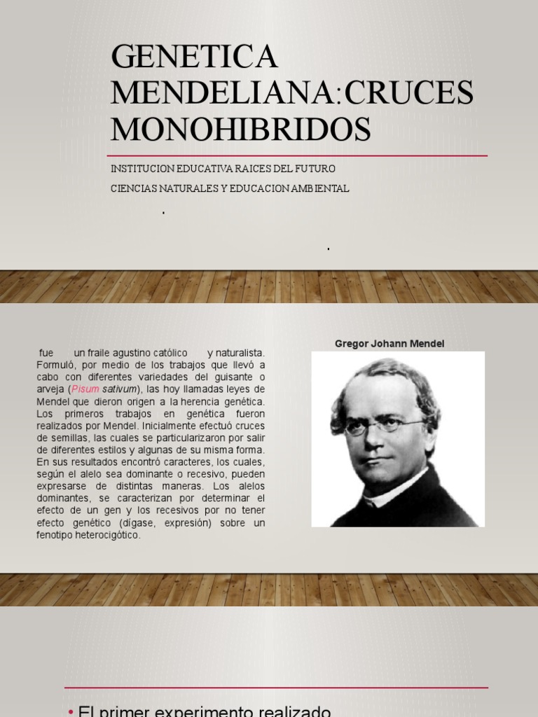 Genetica Mendeliana | PDF | Dominancia (Genética) | Ciencias de la vida