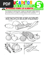 Los Alimentos Sopa Letras | PDF