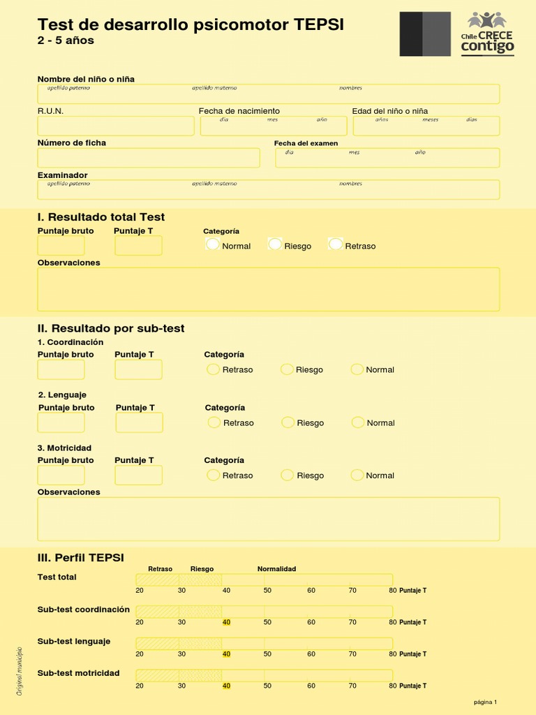 Formulario TEPSI | PDF