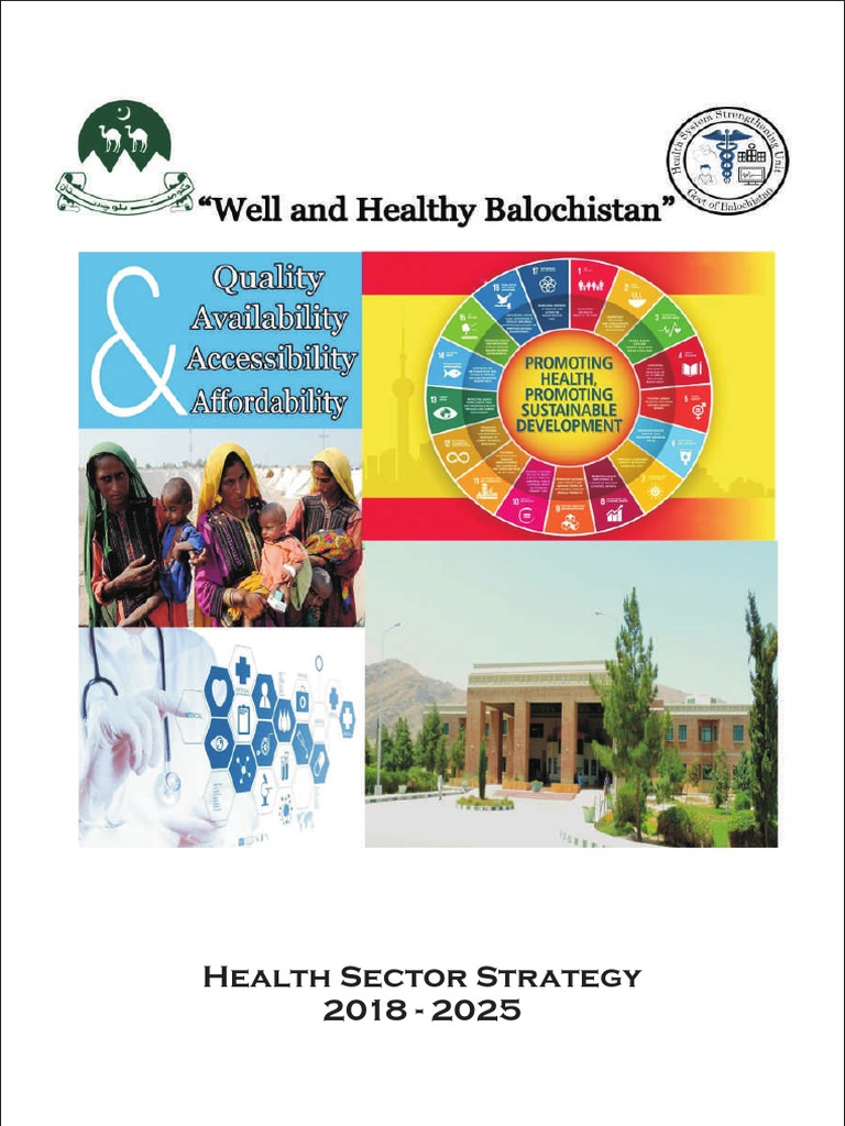 Balochistan Health Sector Strategy 2018-25 | PDF | Health Care | Health ...