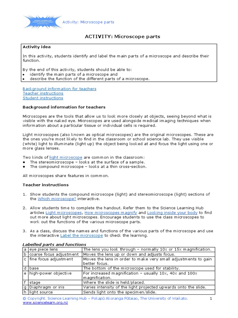 ACTIVITY: Microscope Parts | PDF | Microscope | Microscopy