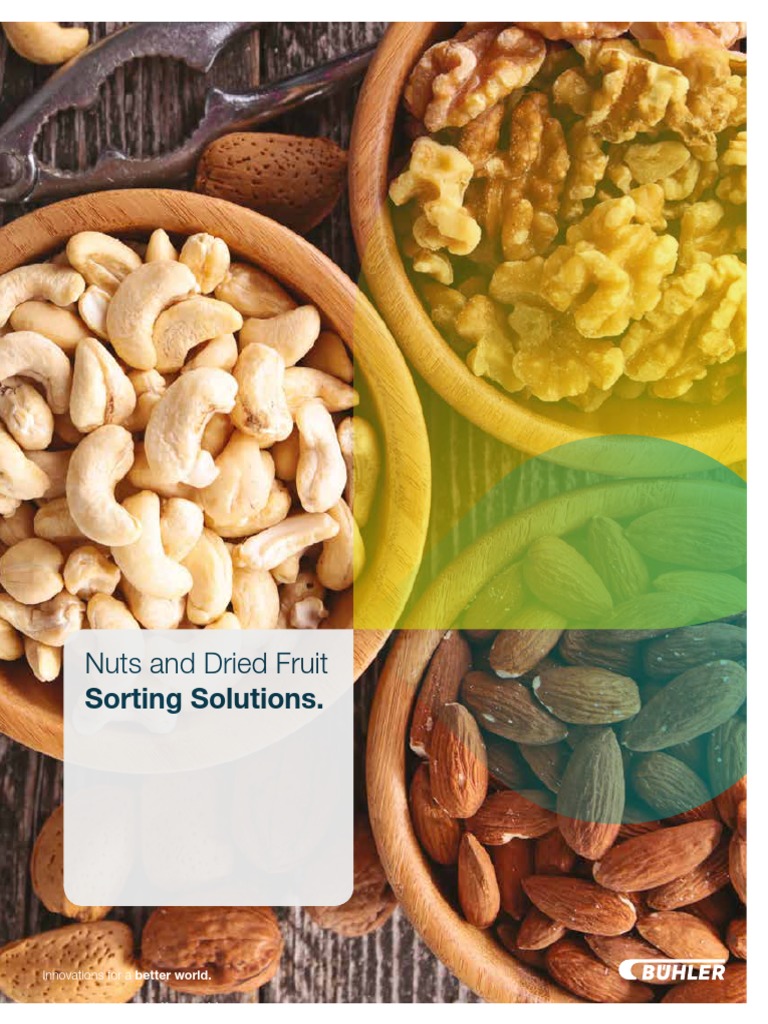 Nuts and Dried Fruit Sorting Brochure | PDF | Technology & Engineering