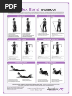 Sahrmann Core Stability Test | PDF