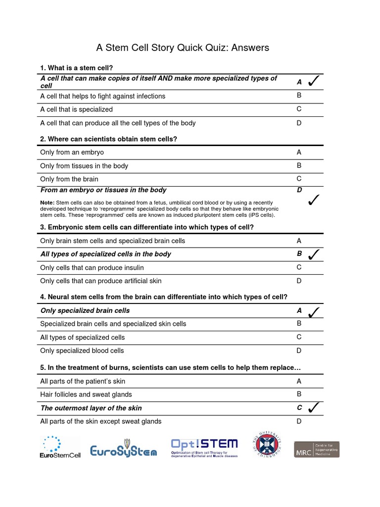 A Stem Cell Story Quick Quiz: Answers: A Cell That Can Make Copies of ...