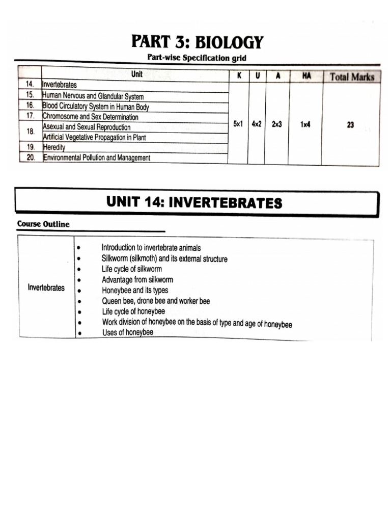 Invertebrates Notes | PDF | Honey Bee | Bees