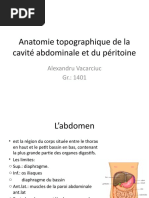 Anatomie des gouttières pariéto-coliques | PDF | Péritoine | Foie