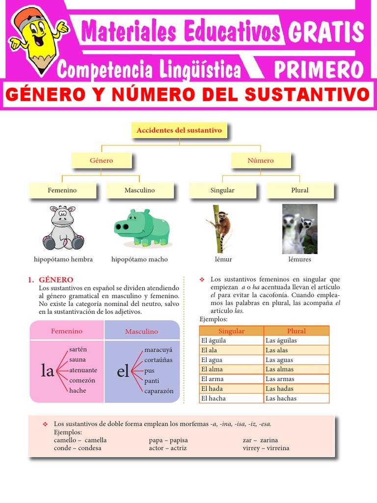 Género y Número Del Sustantivo para Primer Grado de Secundaria | PDF ...