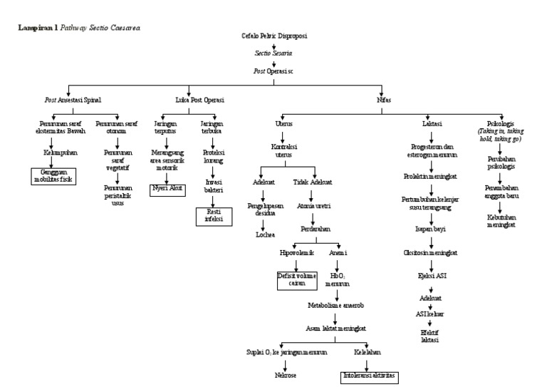 Lampiran 1 Pathway Sectio Caesarea | PDF