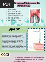 Guia-Detallada-de-Sitios-de-Puncion-para-Inyecciones-IM-SC-e-IV | PDF ...