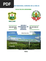 Características de los Suelos Fluvisoles | PDF | Suelo | Riego