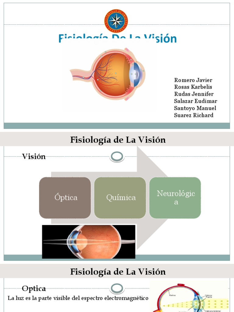 Fisiologia de La Vision | PDF | Percepción visual | Ojo humano
