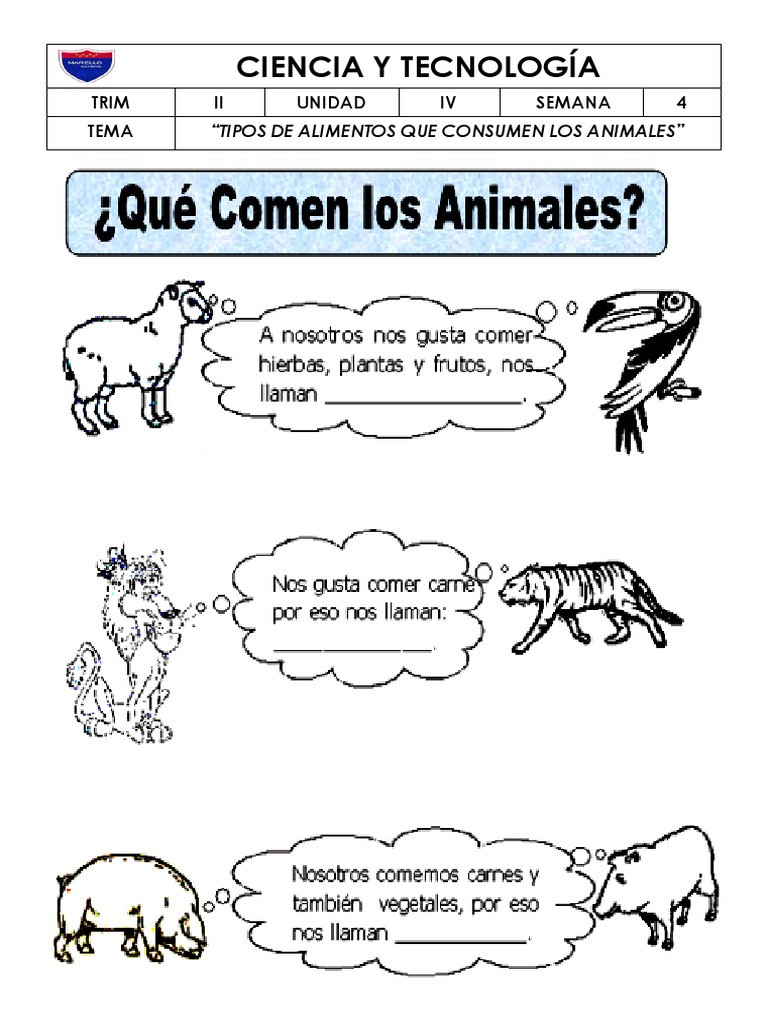 P2 Fichas Alimentación de Los Animales | PDF