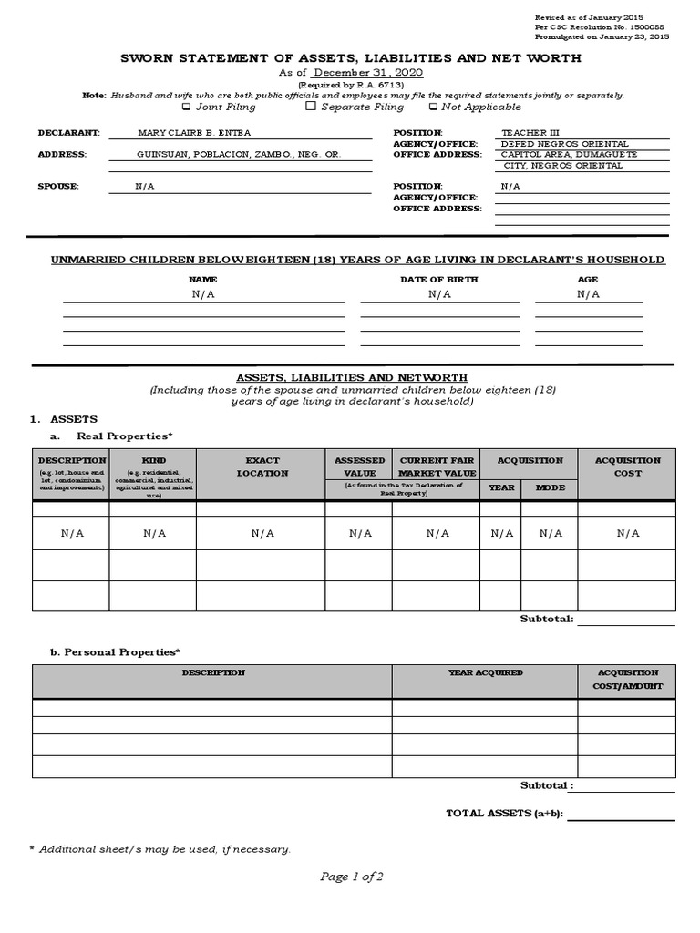 Statement of Assets Liabilities and Net Worth | PDF | Net Worth | Economies