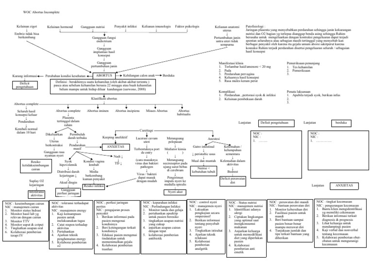 WOC Abortus Bu Ari | PDF