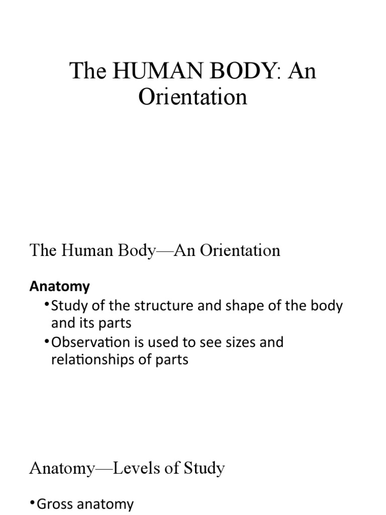 SHS The HUMAN BODY An Orientation | PDF | Anatomical Terms Of Location ...