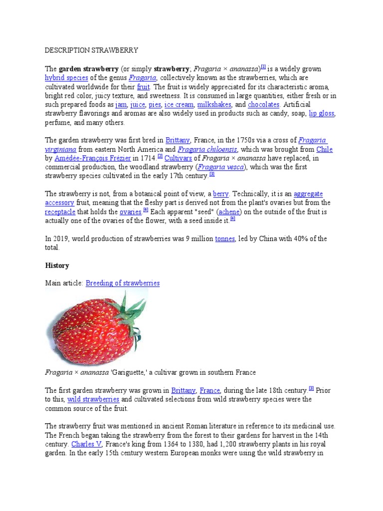 Description Strawberry | PDF | Strawberry | Organisms
