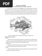Ichtiologi Anatomi Pada Ikan-1 | PDF | Sains & Matematika