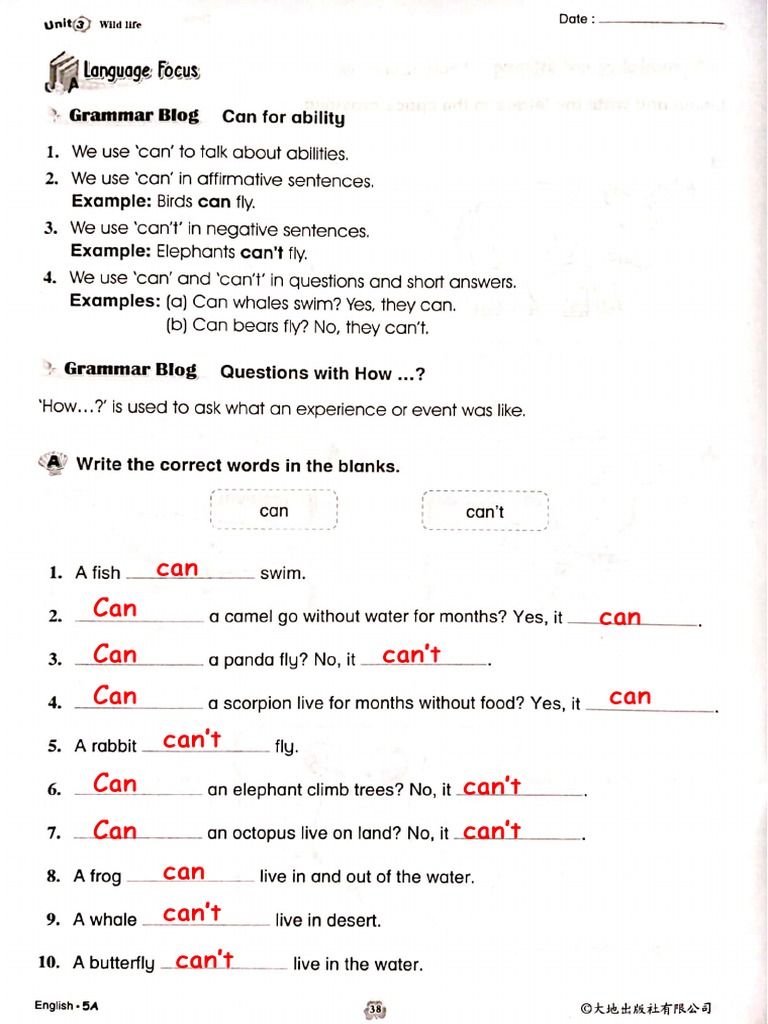 Workbook Answer | PDF