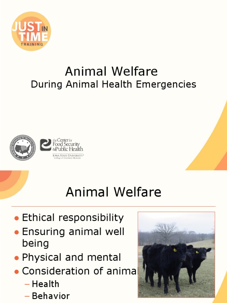 Animal Welfare in Health Emergencies | PDF | Animal Welfare | Behavior