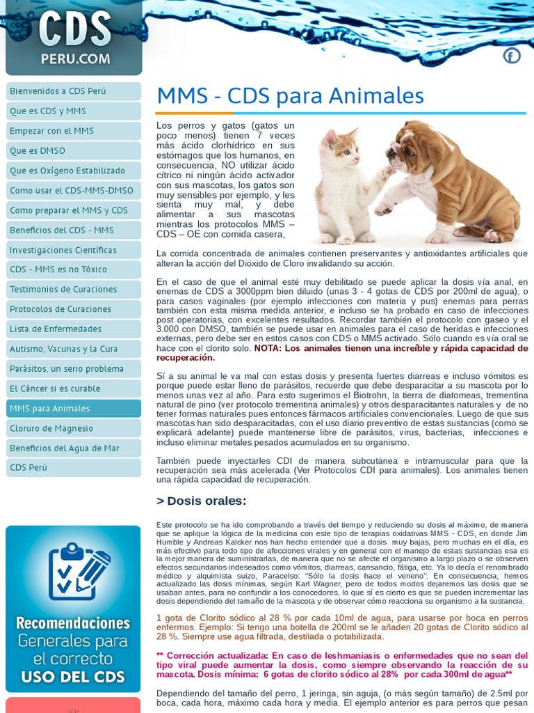 Mms para Animales - Cds Peru - Mms - Cds - Dmso | PDF | Alimentos | Gatos