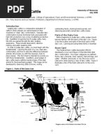 Normal Vital Signs for Common Animals | PDF | Dairy Cattle | Cattle