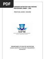 BILLY Footwear Complete Sizing Chart V11 | PDF