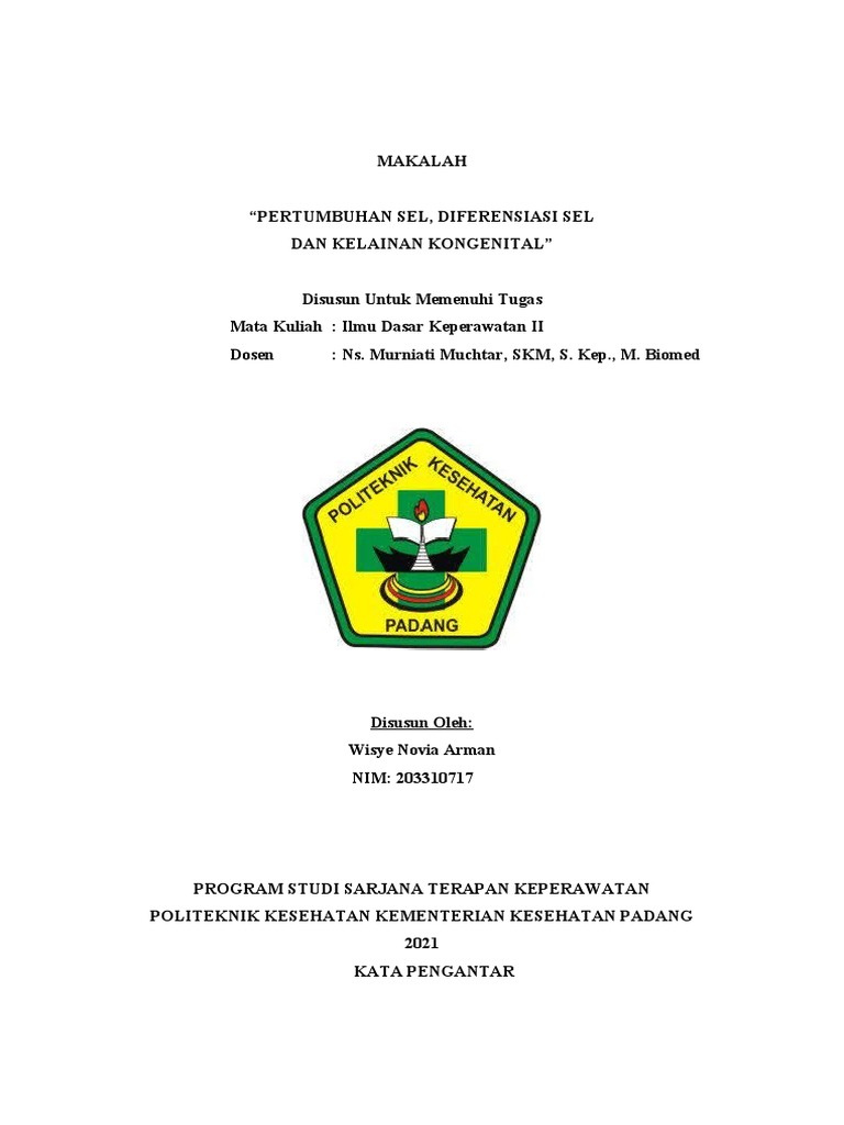 MAKALAH IDK II Wisye Ovia Arman | PDF