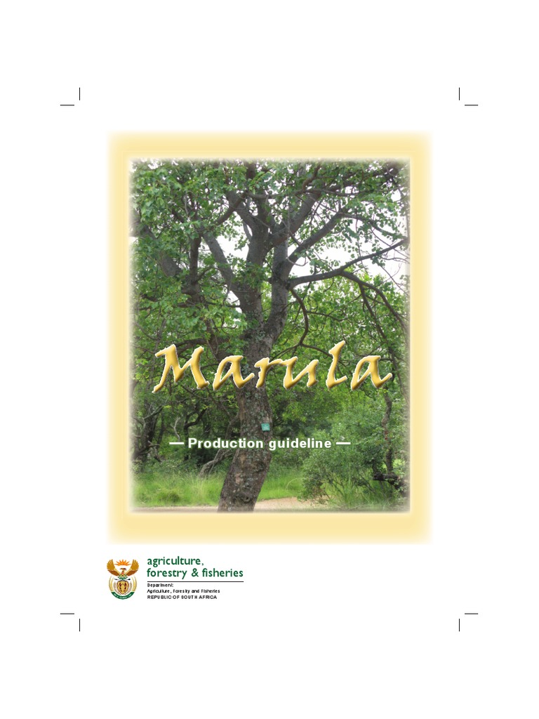 Production Guidelines Marula | PDF | Grafting | Trees