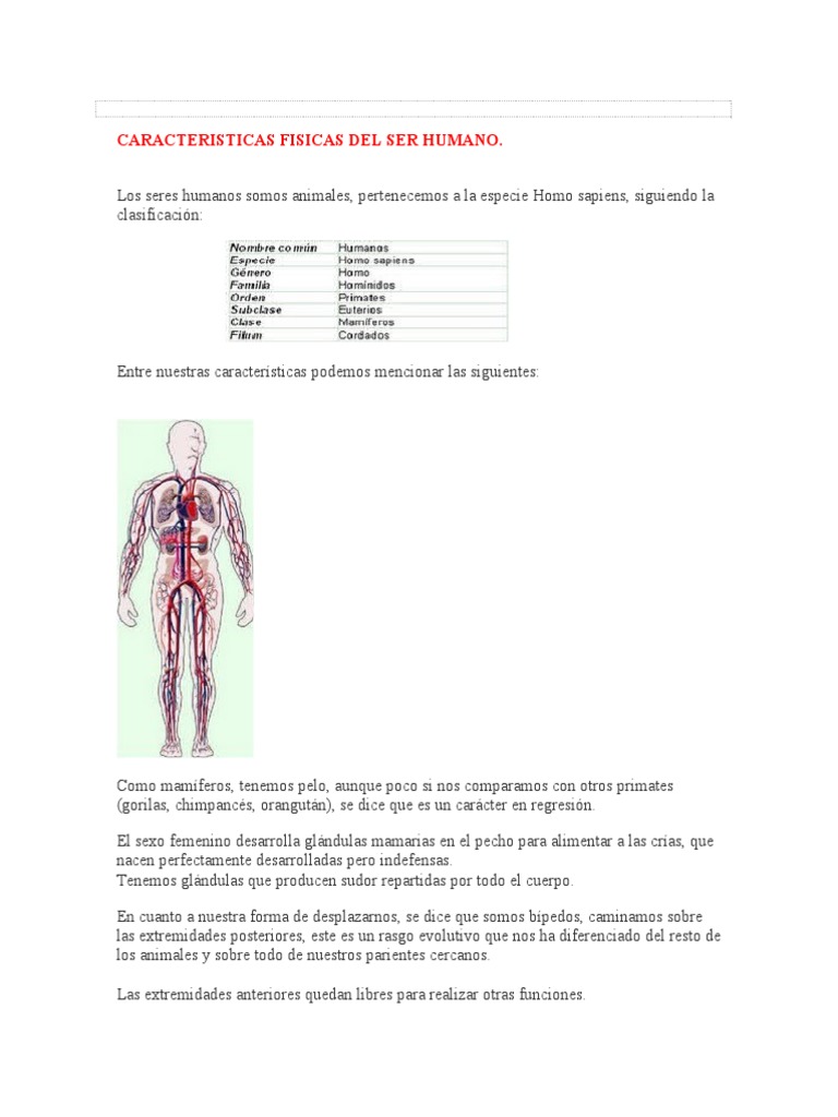 Caracteristicas Fisicas Del Ser Humano | PDF | Adultos | Mamíferos