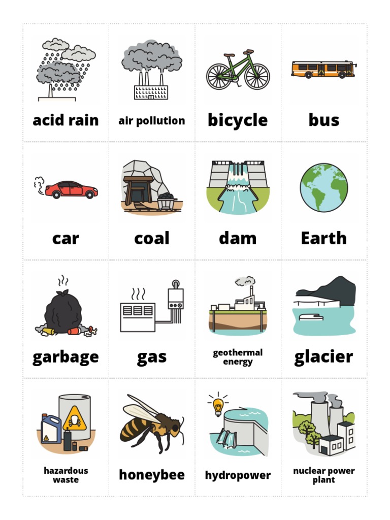 Environmental Vocabulary Flashcards | PDF