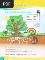 Cambridge Primary Science 1 Learner's Book PDF | PDF