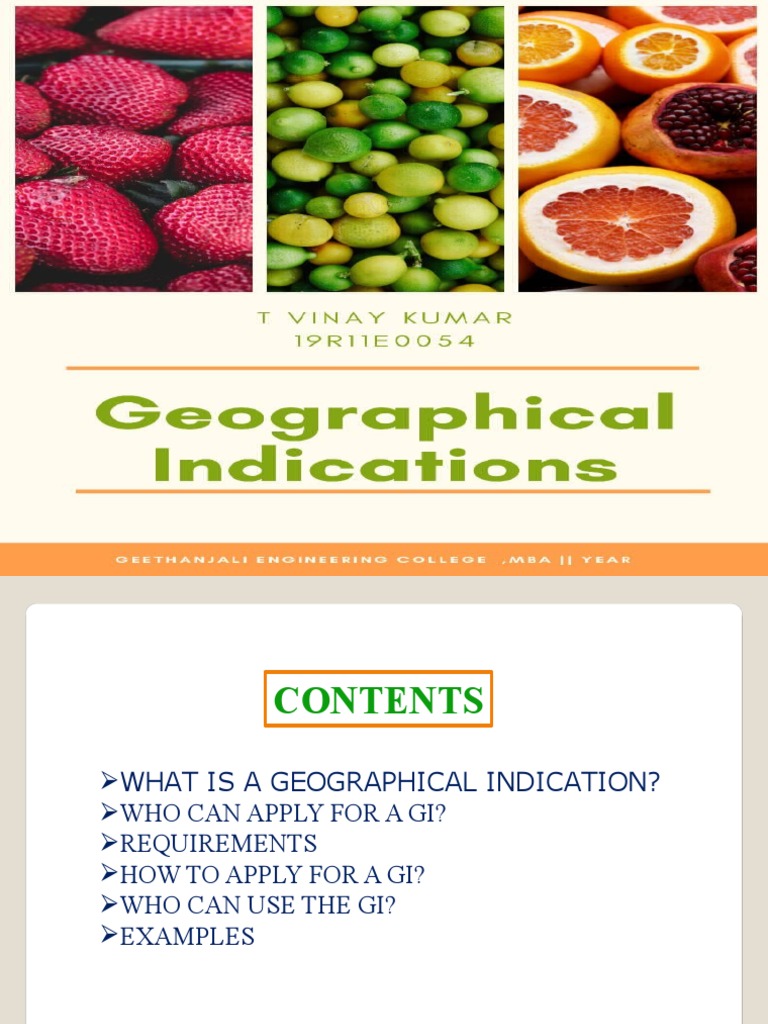 Understanding Geographical Indications | PDF | Business | Law