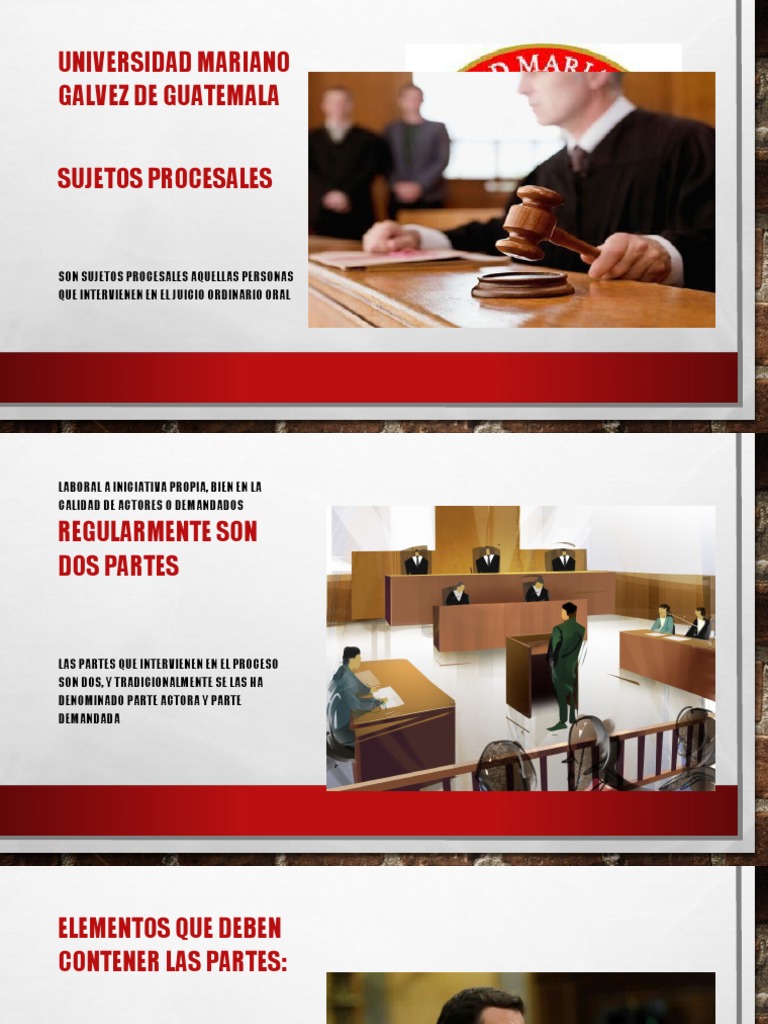 Infografia Partes Procesales | PDF
