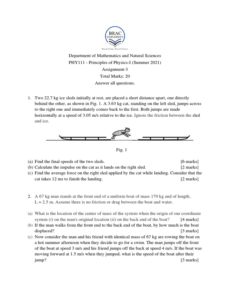 Physics Assignment on Momentum and Forces | PDF