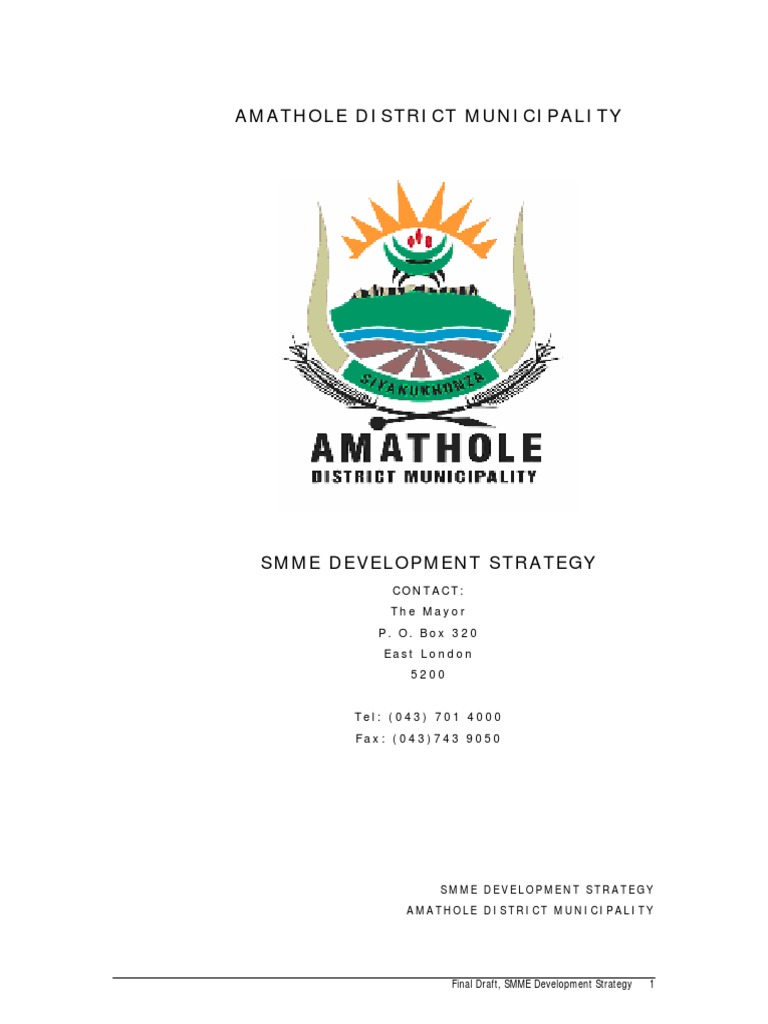 Amathole DM SMME Development Strategy | PDF | Gross Domestic Product | Small And Medium Sized ...