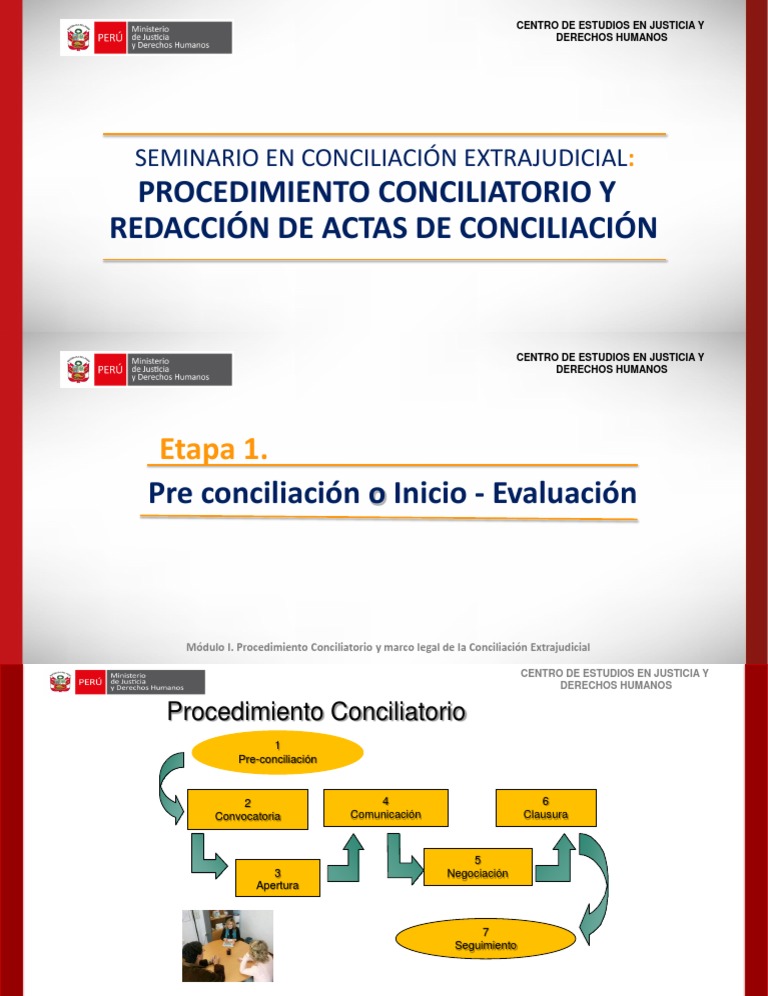 Pre Conciliación | Descargar gratis PDF | Mandato | Ley procesal