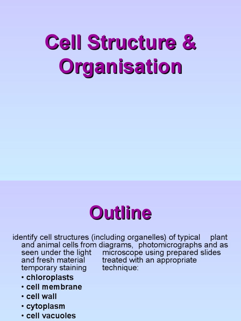 Biology - Cell Structure Organization | PDF | Cell (Biology) | Tissue ...