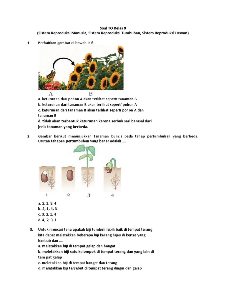 Soal TO Part 3 | PDF