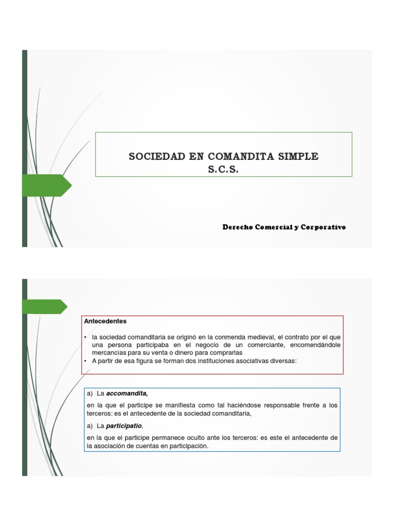 Sociedad en Comandita Simple | PDF | Sociedad General | Economias