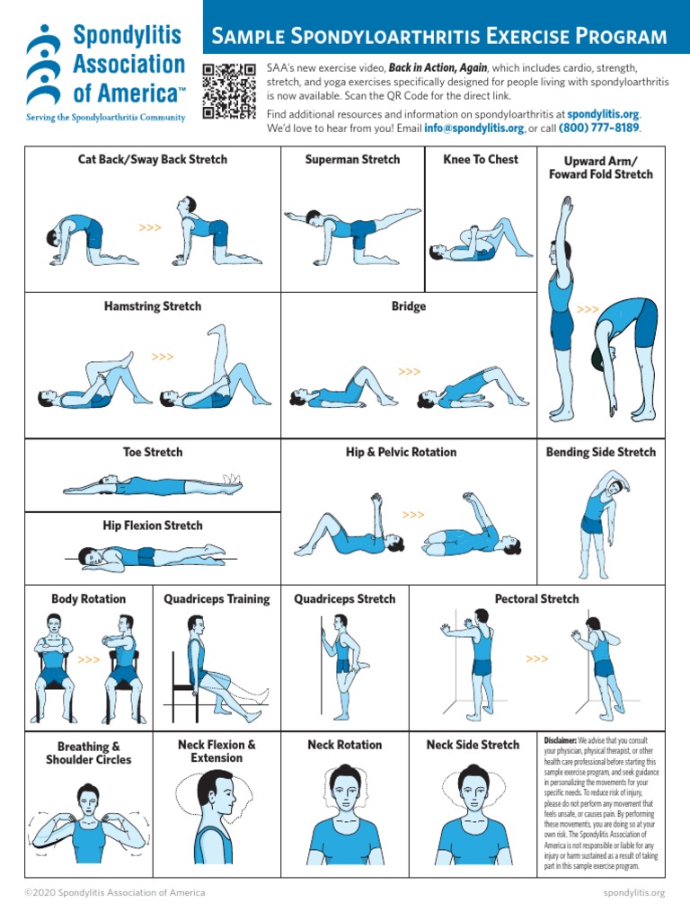SAA Exercise Flyer 8.5x11 Update WEB | PDF | Anatomical Terms Of Motion ...