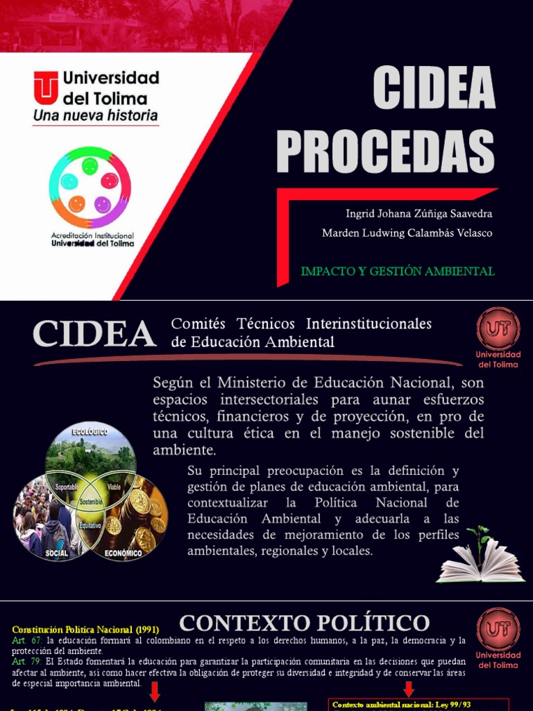CIDEA | PDF