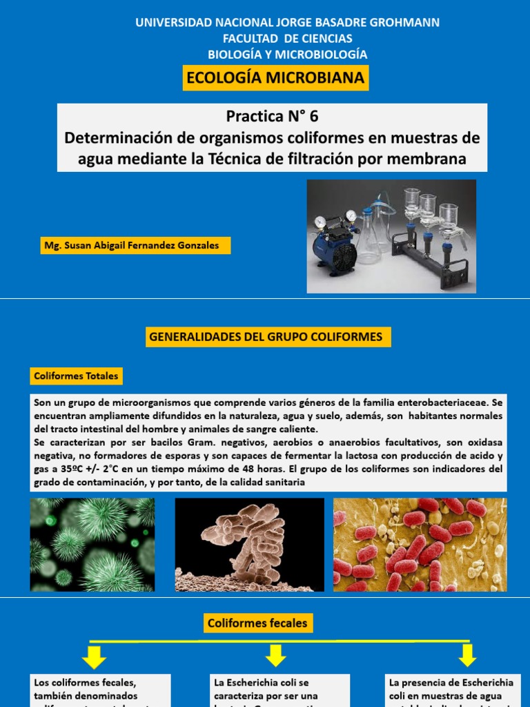 Determinación de Coliformes en Agua | PDF | Biología | Microbiología