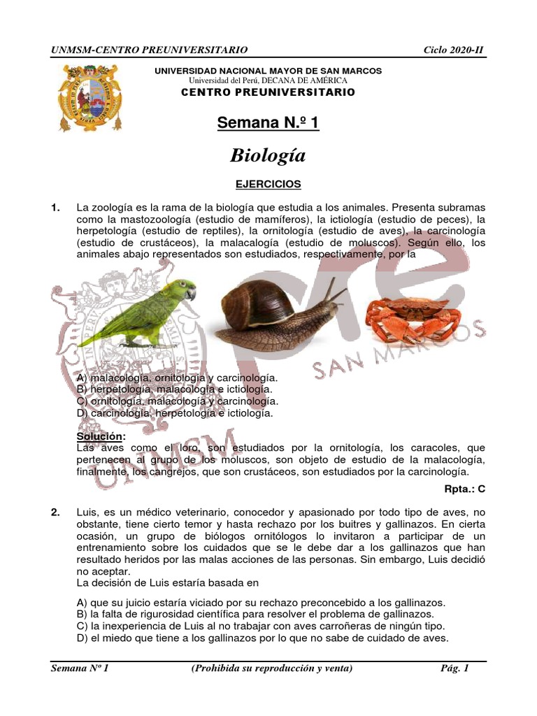 Bio s1 Sol 2020ii | PDF | Rna | Adn