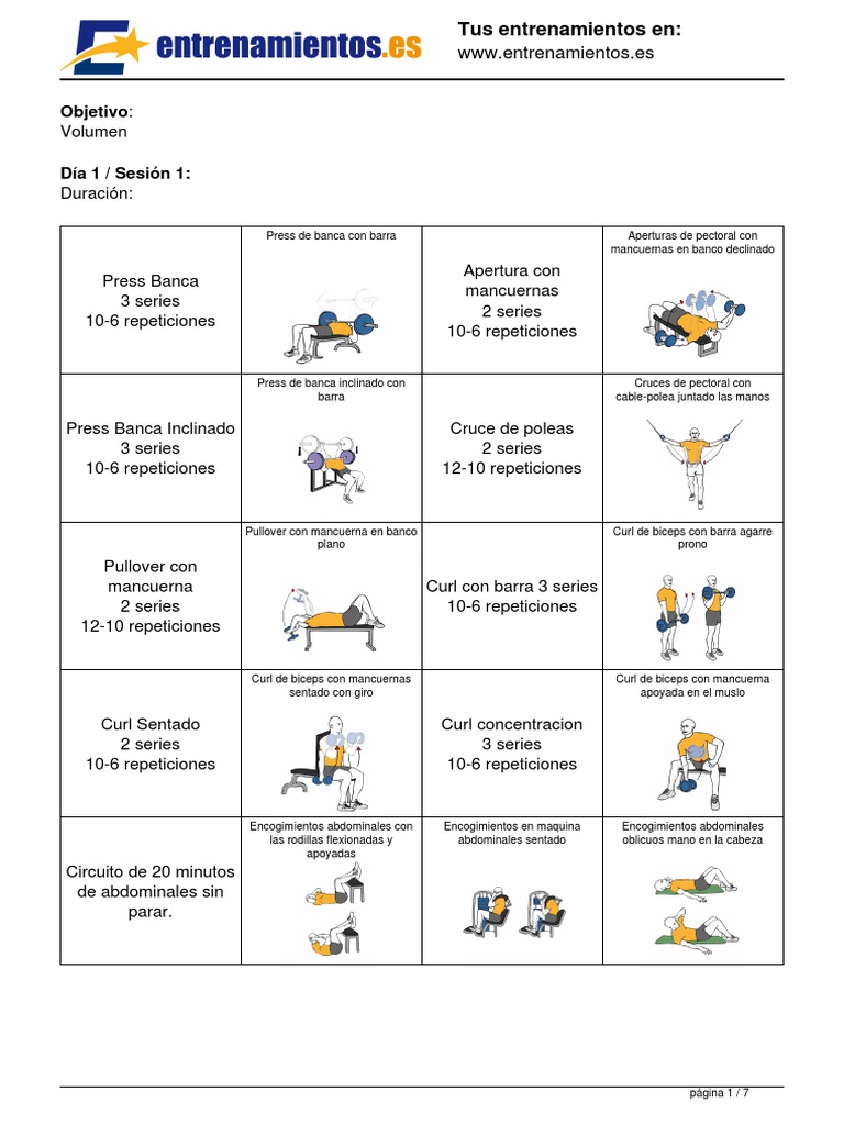 Rutina De Volumen De Arnold Schwarzenegger Pdf Entrenamiento Con